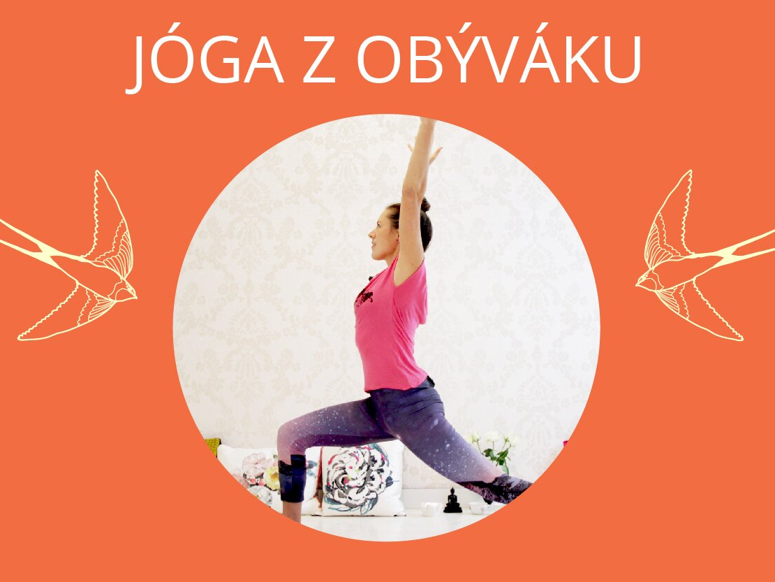 Video kurz: Velký balíček jógy online pro potřeby ženy: Jóga pro ...