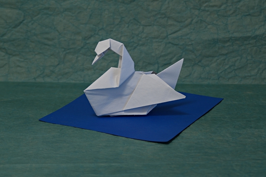 Kurz: Ozvěny origami festivalu v Krakowě | Naučmese